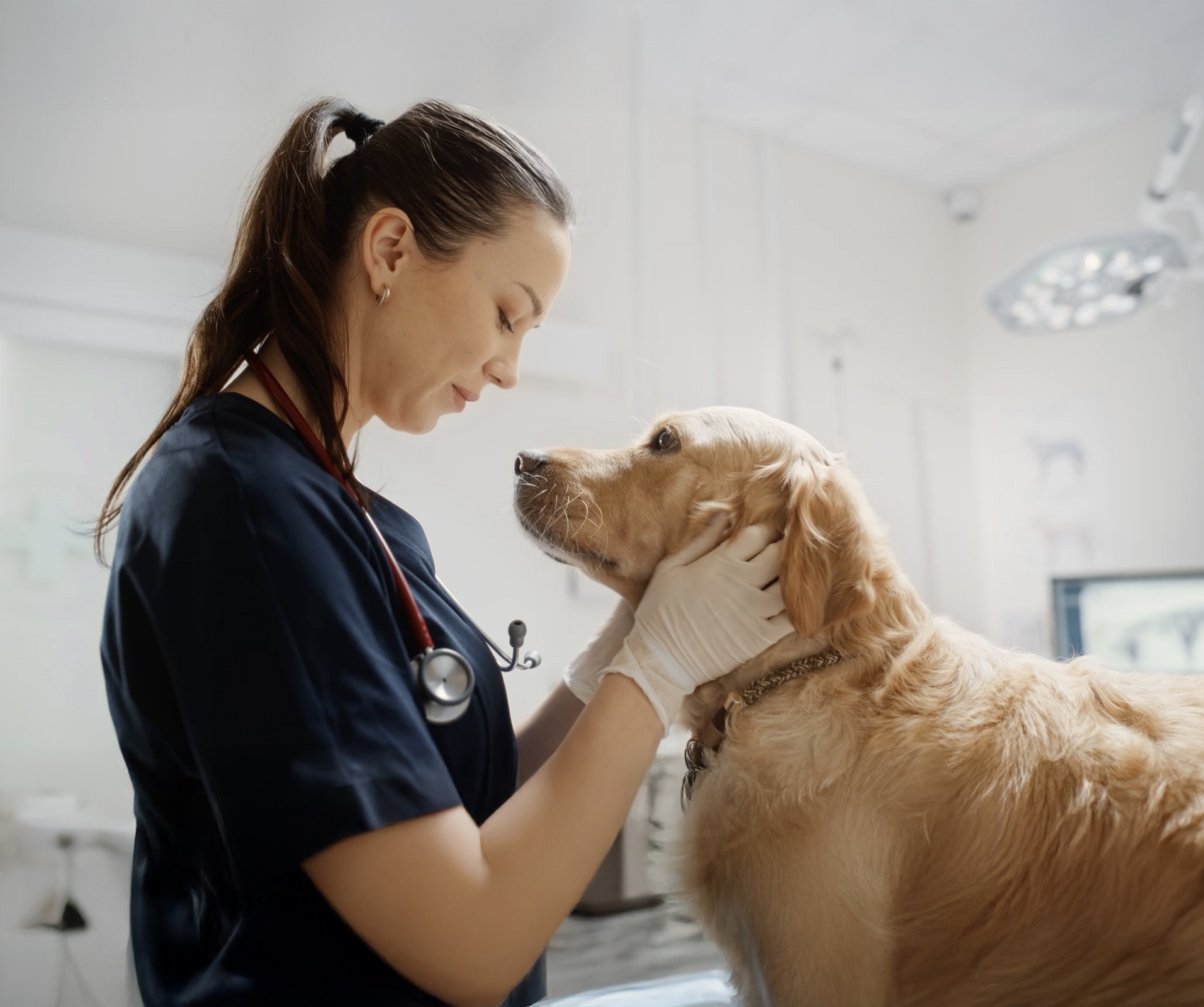 Unity Trust Bank Attends the London Vet Show 2024